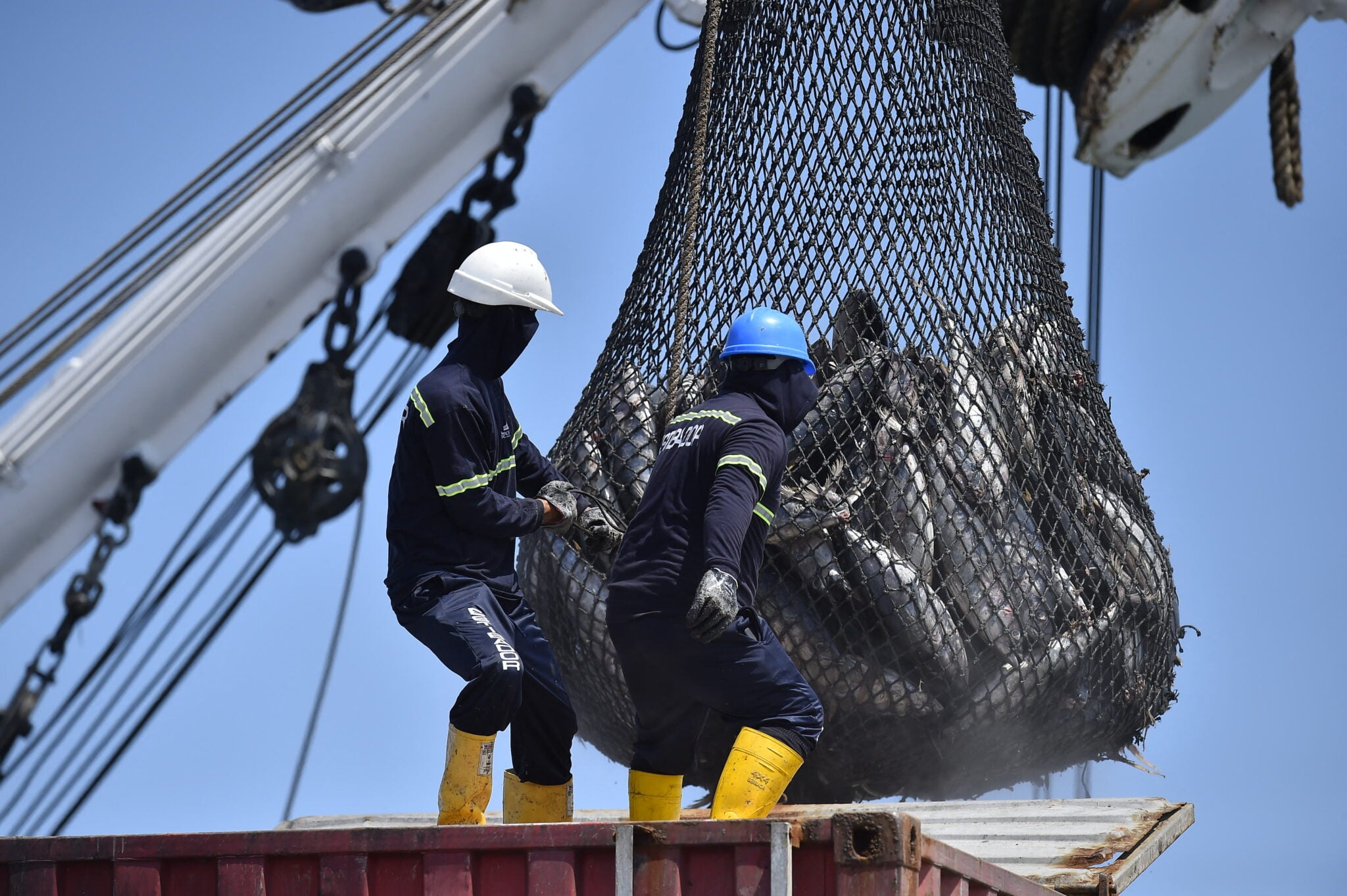 Fishing for Security: Taking on Illegal Fishing in Latin America ...